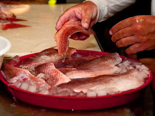 Red Snapper – Fresh Seafood